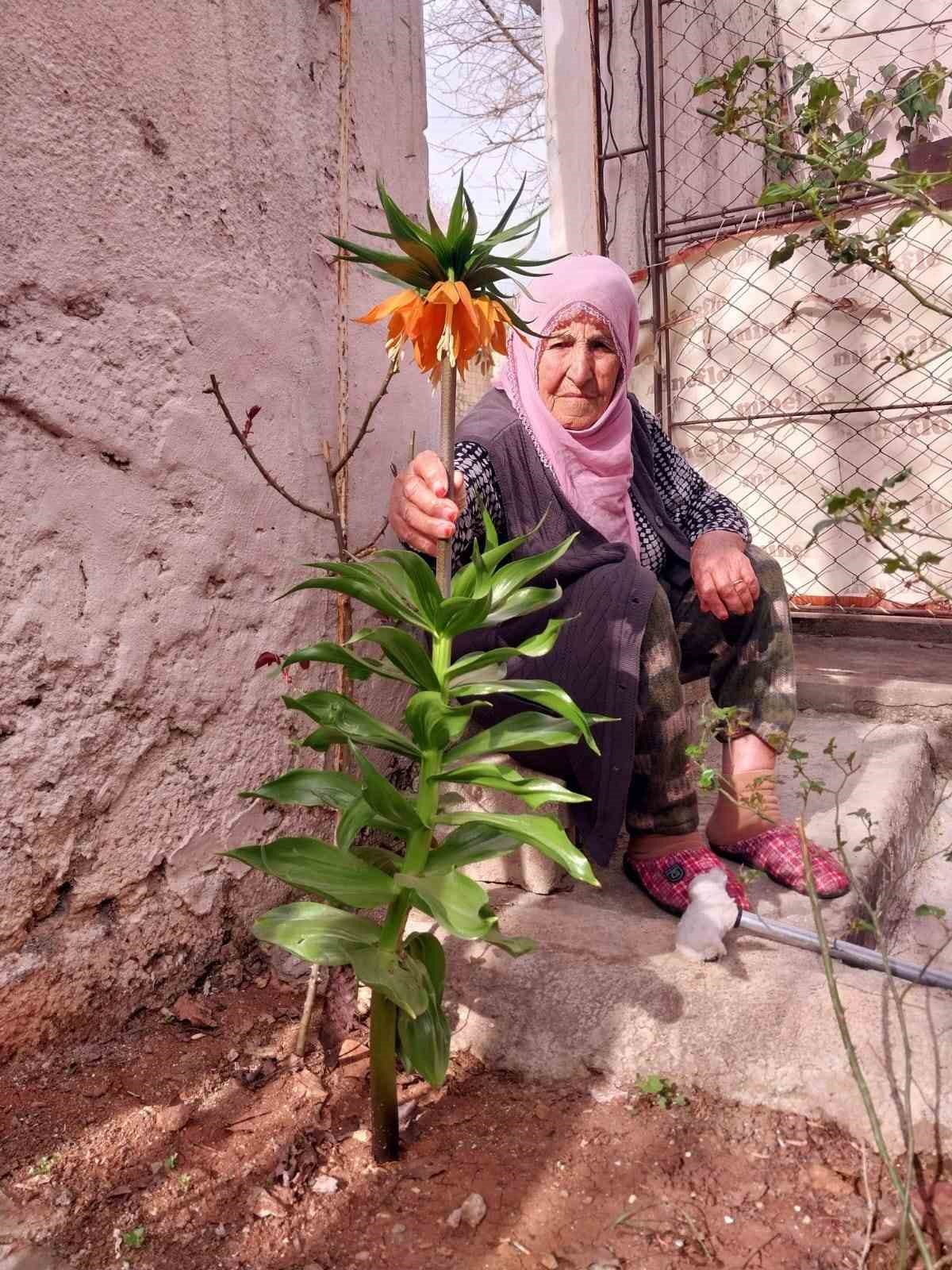 Diyarbakır'da 90 Yaşındaki Kadının Eşinin Anısına Ters Lalelere Göz ...
